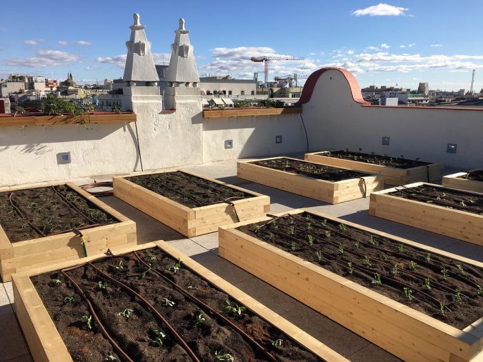 Huertos urbanos | La Huertoteca, especialistas en huertos urbanos